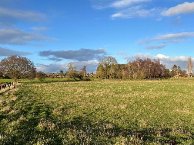 Land for sale