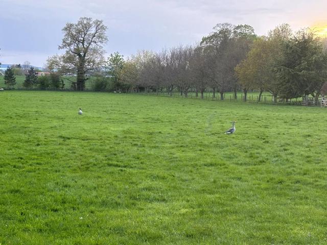 Land for sale