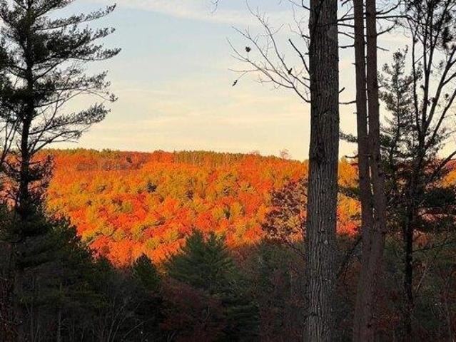 land Francestown NH DLS101630875