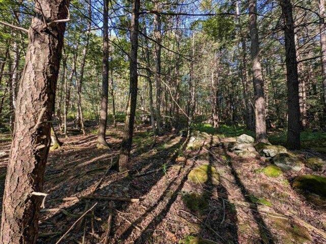 land Francestown NH DS103016594