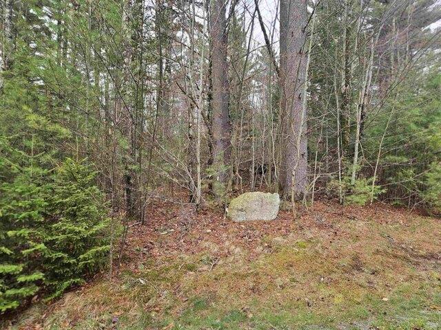 land Franconia NH DS101898673