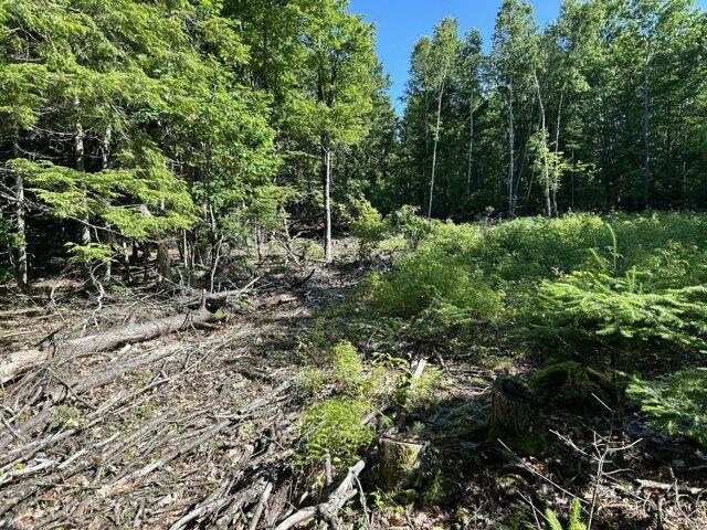 land Frankfort ME ES105105000