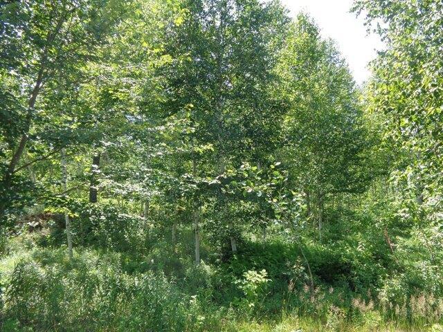 land Franklin ME ES104788868