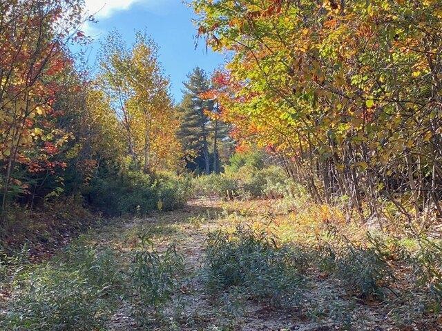 land Franklin ME ES105175251