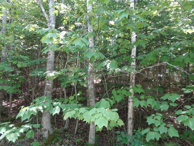 land Franklin ME ES105233768