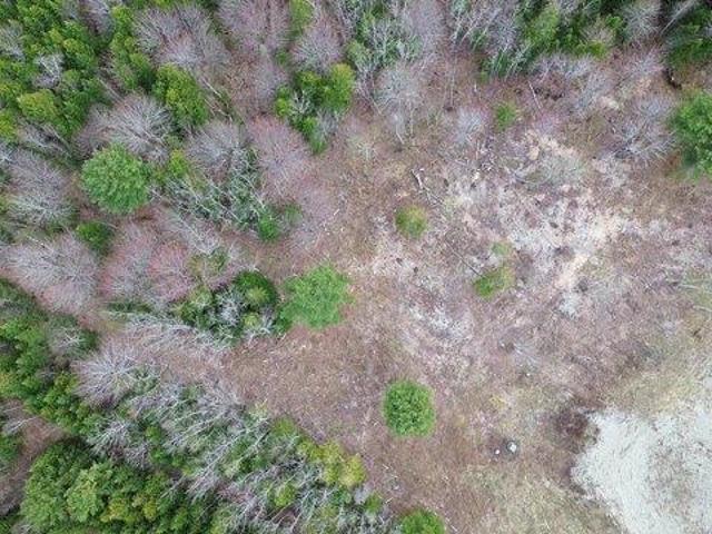 land Franklin ME ES103222624