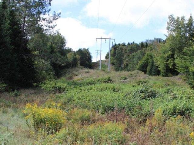 land Frenchville ME DLS102779229