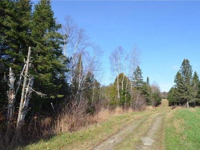 land Frenchville ME DLS103069437