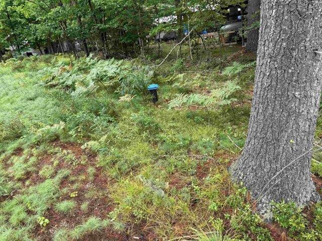 land Freedom NH ES105404093