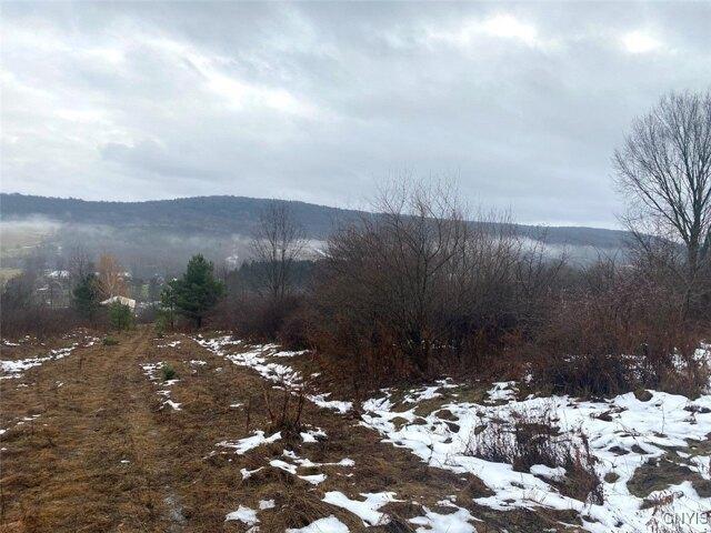 land Friendship NY DS103625108