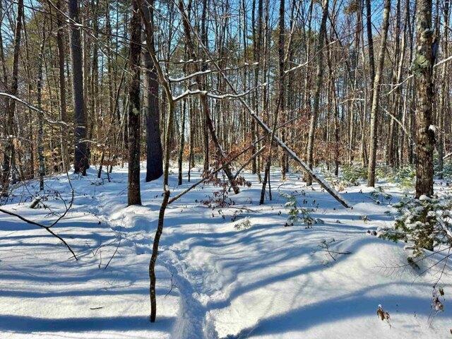 land Fryeburg ME DLS102778499