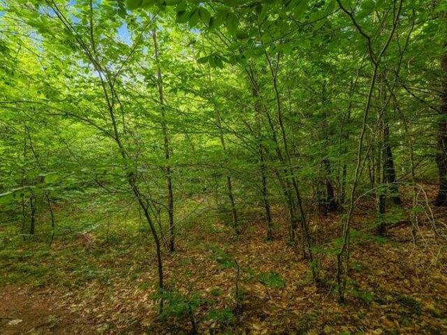 land Fryeburg ME ES105173419