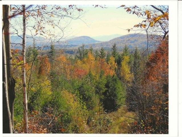 land Guildhall VT DLS102218809