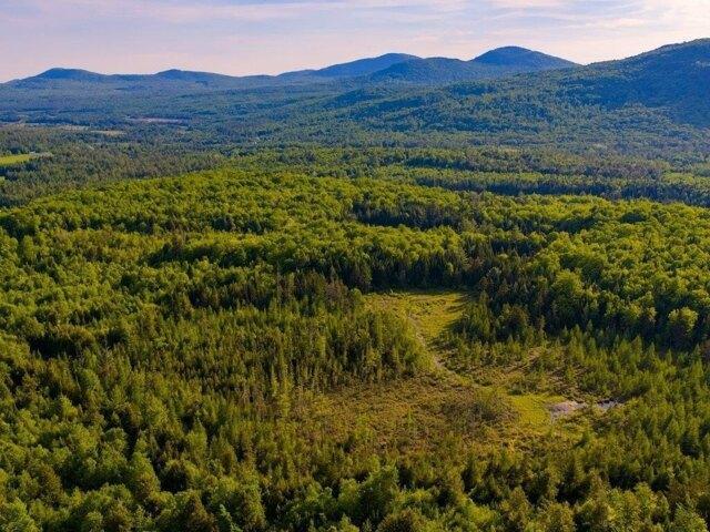 land Guildhall VT ES103968327