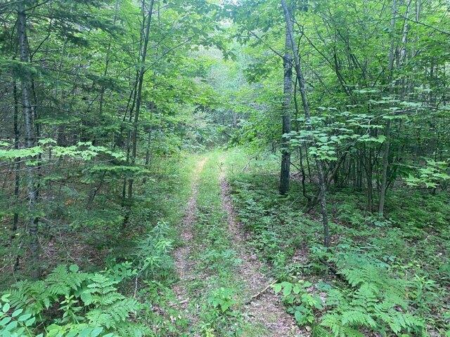 land Guilford ME ES104298179