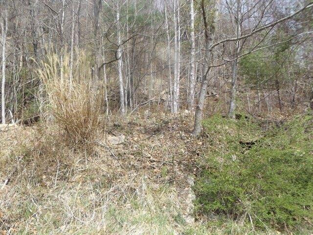 land Galax VA ES104907171