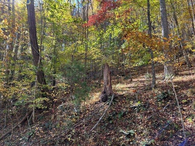 land Galax VA ES104908620