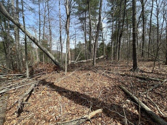 land Gap Mills WV DLS91821843