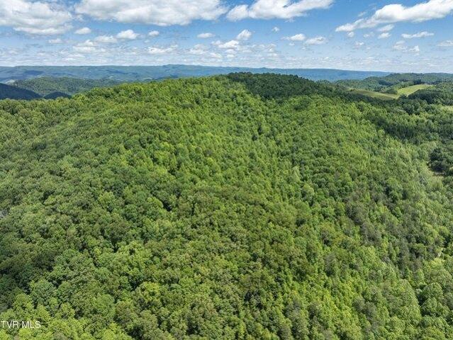 land Gate City VA DLS91744240