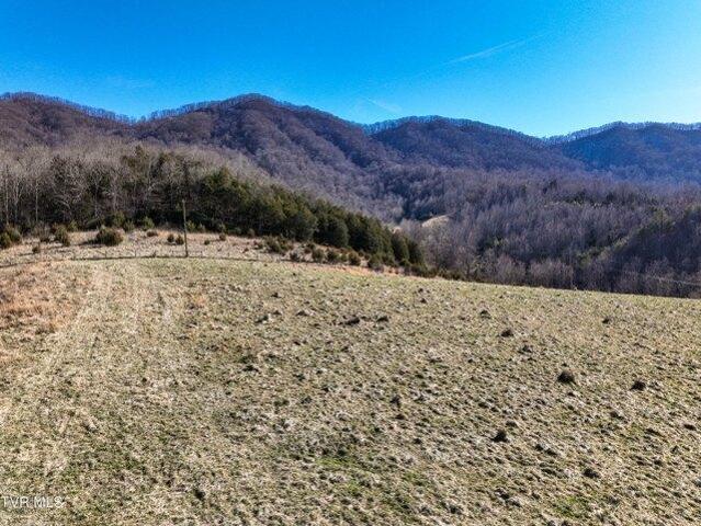 land Gate City VA ES103602493