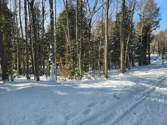 land Gilmanton NH DLS102090438