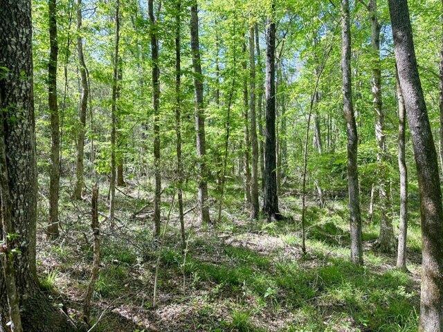 land Gloster MS DLS92917282