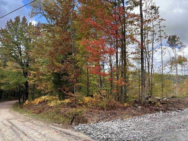land Goshen NH DLS102410056