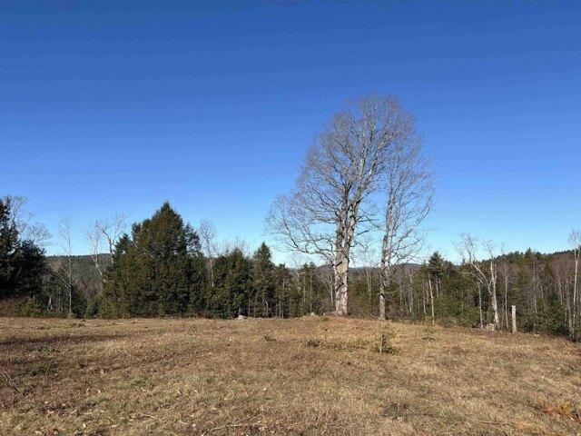 land Goshen NH DLS102447181