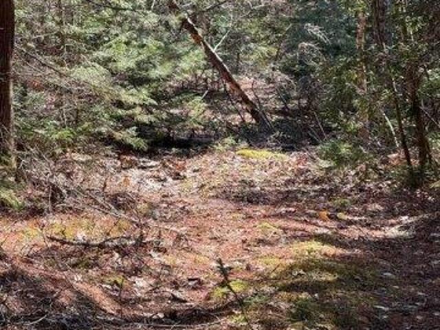 land Gouldsboro ME DLS101857878