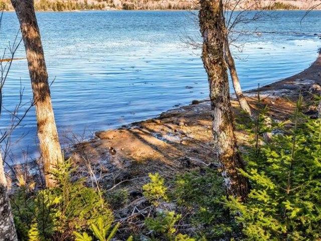land Gouldsboro ME DLS102780060