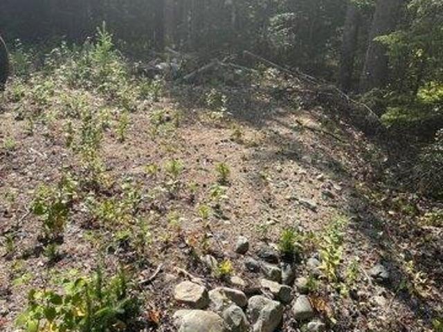 land Gouldsboro ME DS102594043