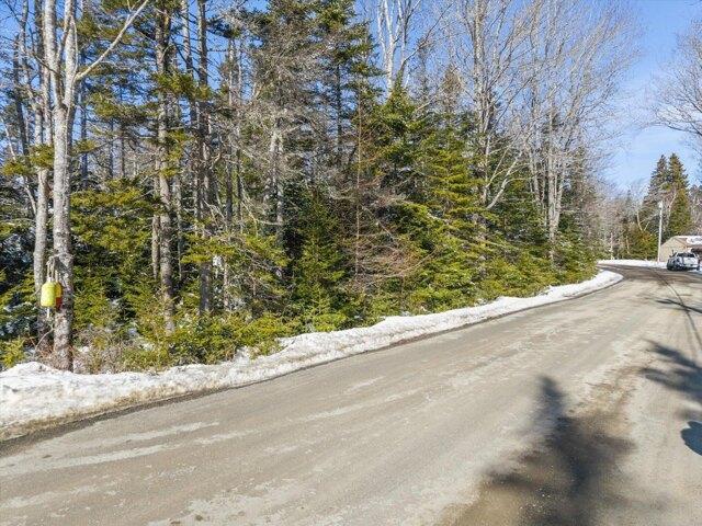 land Gouldsboro ME DS102725128