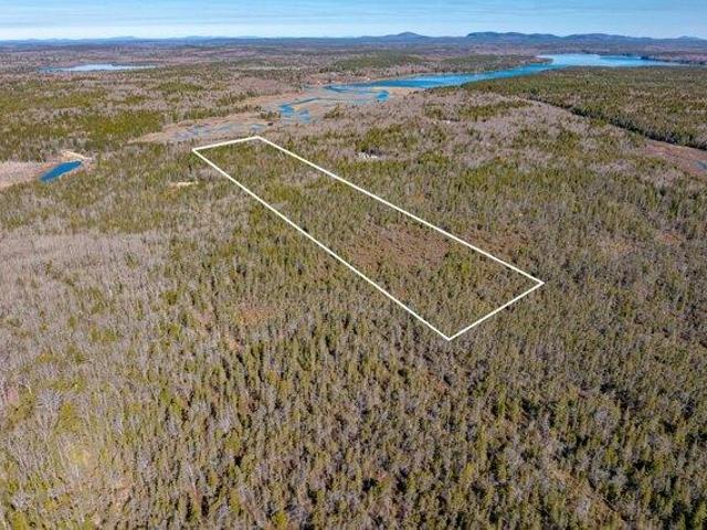 land Gouldsboro ME ES104812247