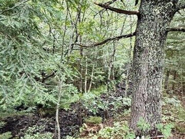 land Gouldsboro ME ES105117173