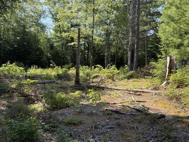 land Gouldsboro ME ES105241554
