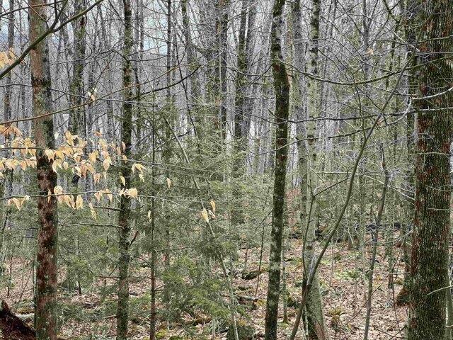 land Grantham NH DS104478461