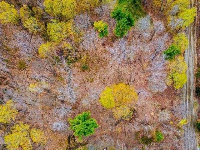 land Grantham NH DS102826858