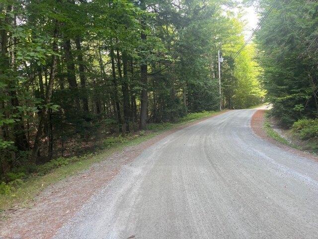 land Grantham NH DS103100991
