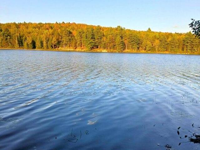 land Grantham NH ES105142250
