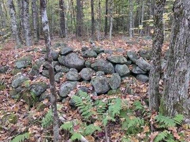 land Grafton NH DS102670934