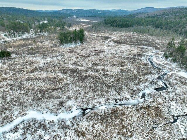 land Grafton NH DS102061719