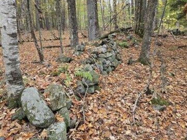 land Grafton NH ES103034197