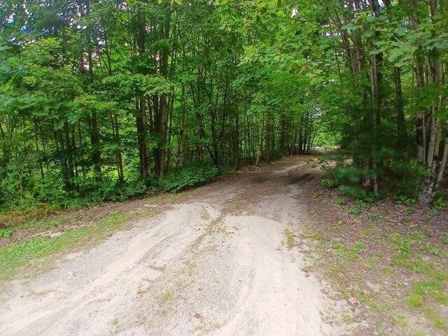 land Grafton NH ES105140656
