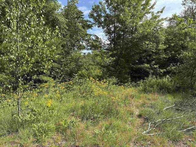 land Grafton NH ES105190970