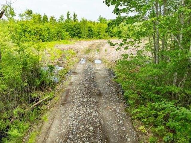 land Greenbush ME DLS102445248