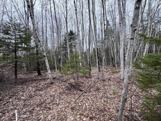 land Greenbush ME ES104010514