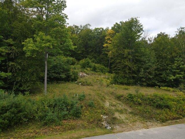 land Greene ME DS103250625
