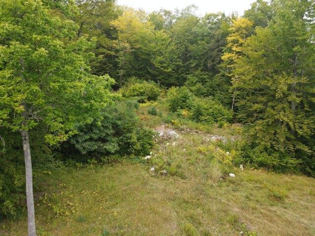 land Greene ME ES104075715