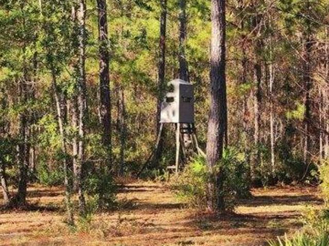 land Greenville FL DS88344490