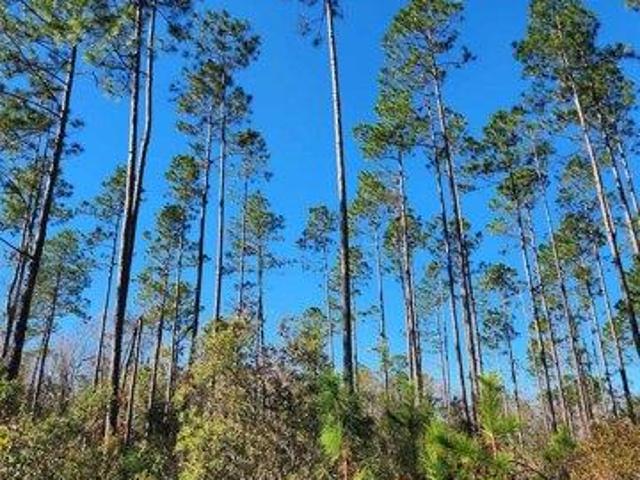 land Greenville FL DS88360673